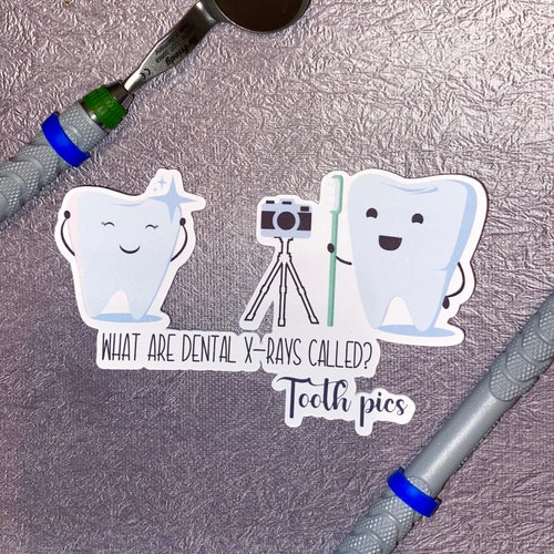 Dentition Sticker Teeth Sticker Dental Hygiene Sticker - Etsy