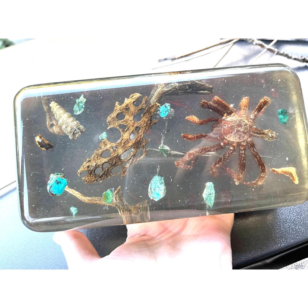 RARE!! Vintage Massive Lucite Tarantula Turquoise Insect Paperweight ...