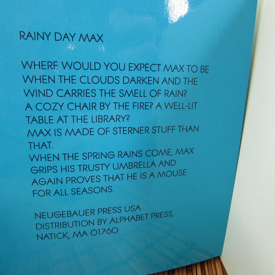 Rainy Day Max A Max the Mouse Picture Book Hanne Turk 1983 - Etsy