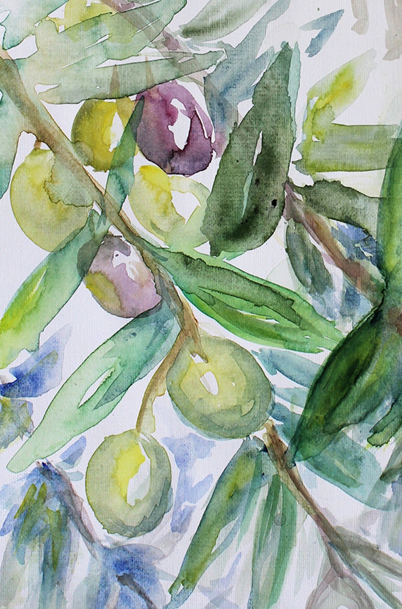 Olive Print. Fine Art Print of Original Watercolor. Garden Art ...