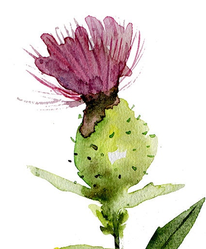 DistelDruck. Kräuter Wandkunst. DistelMalerei. Distel Poster von ...