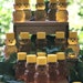 25 Pure Raw Custom Mini Honey Bears Choose Your Honey - Etsy