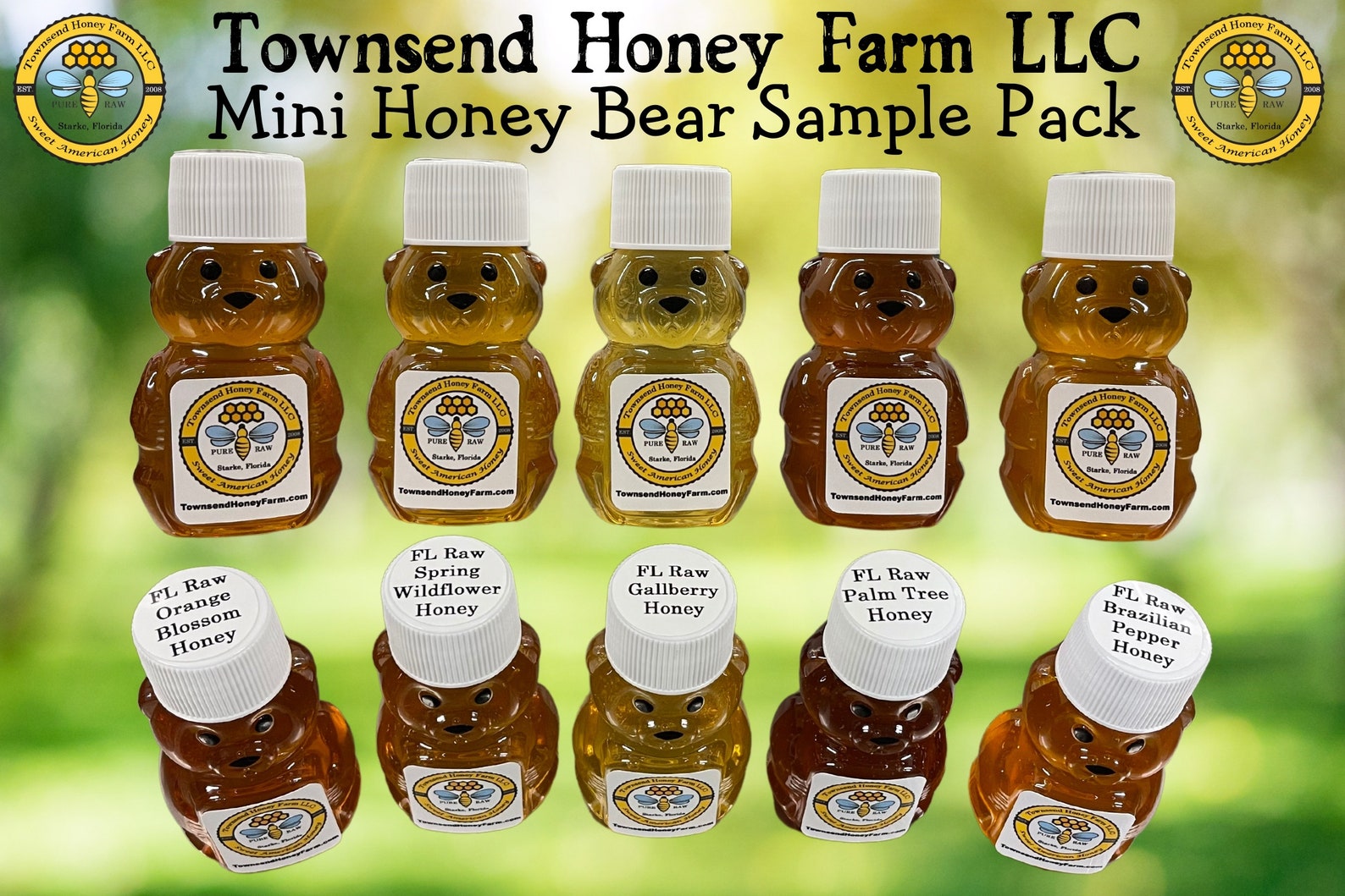 Honey Bear Sample Set Pure Raw Honey Sample Florida Honey - Etsy