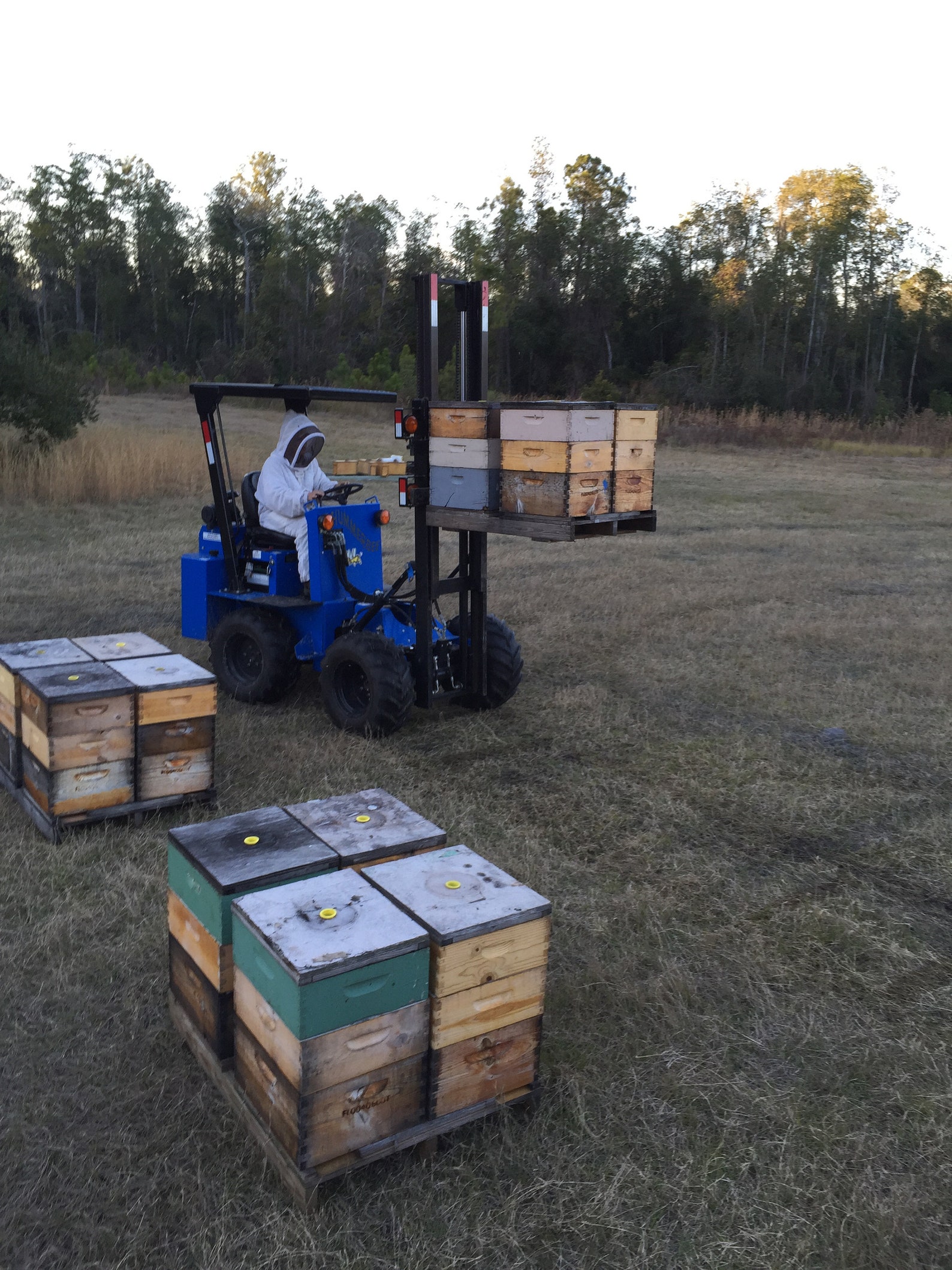 4 Lb Total Net Wt Pure Raw Gallberry Honey, 2025 Crop, Pure Raw Natural ...