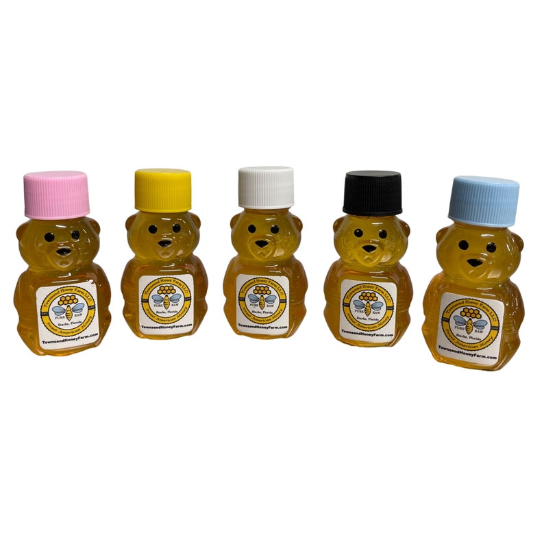 100 Mini Honey Bears Custom Pure Raw FL Honey Wedding - Etsy