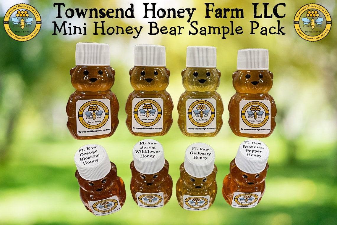 Honey Bear Sample Set, Pure Raw Honey, Sample Florida Honey, Party ...