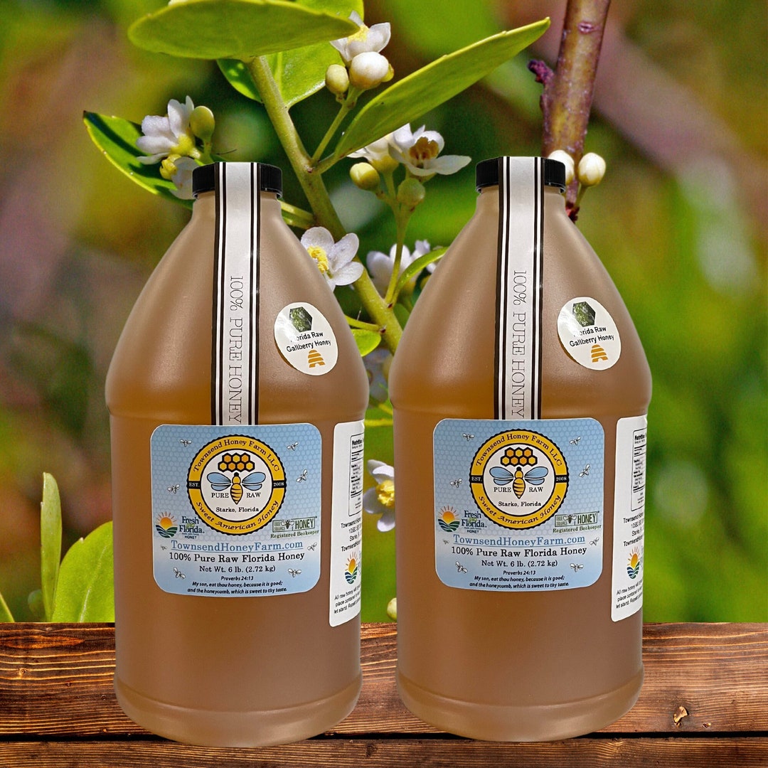 1 Gallon Florida Pure Raw Gallberry Honey, 2025 Crop, Pure Raw Bulk ...