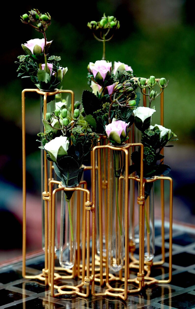 Geek Chic Test Tube Vase - Etsy