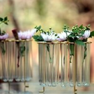 Circular Test Tube Vase - Etsy