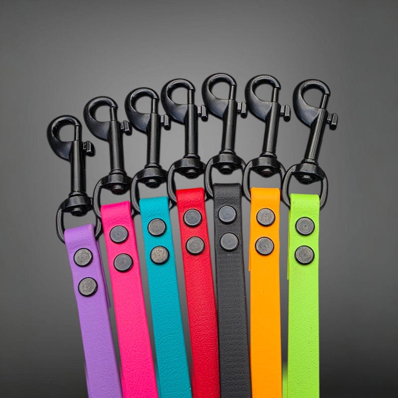 Leash for Lease - Etsy