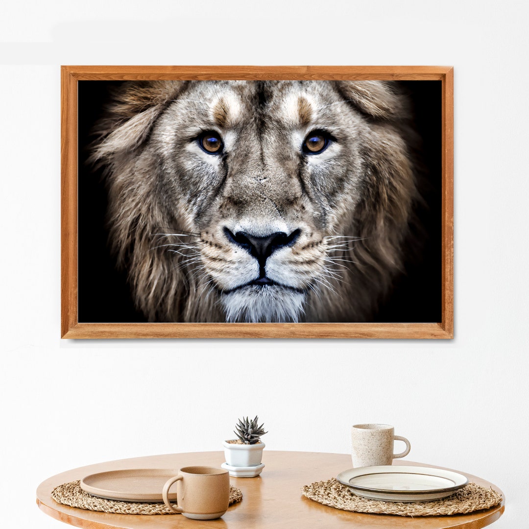 Lion Face Colour Print, Lion Face Colour Poster, Lion Colour Wall Art ...