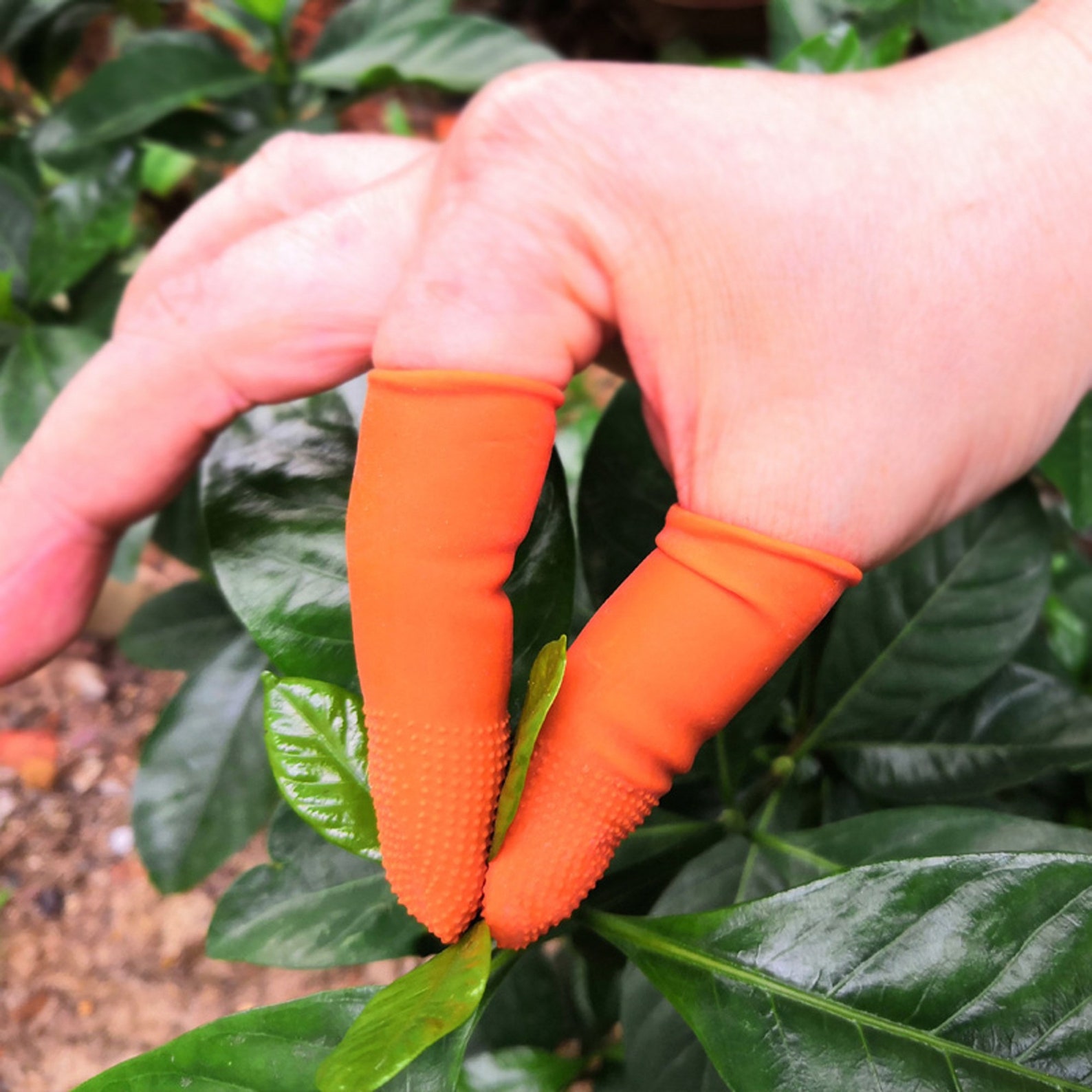 Latex Finger Cover Antiskid Finger Cover Thickened Wear Resistant and ...