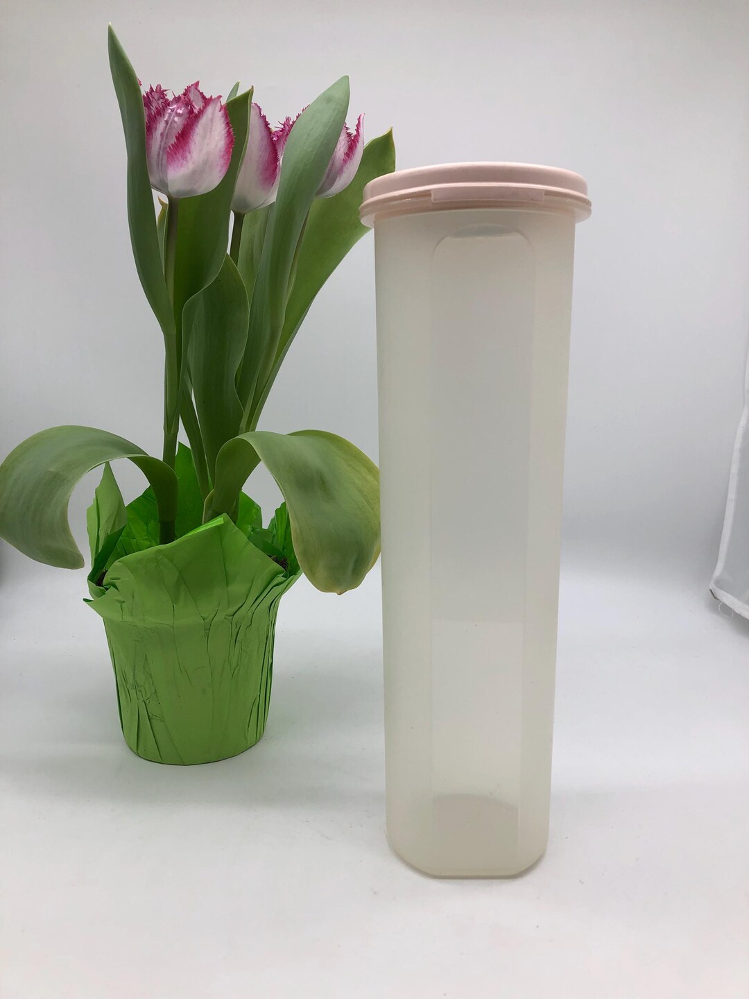 Tupperware Pasta Container 4 3/4 Cups, Holds 1.1 Litres, This is a 3 ...