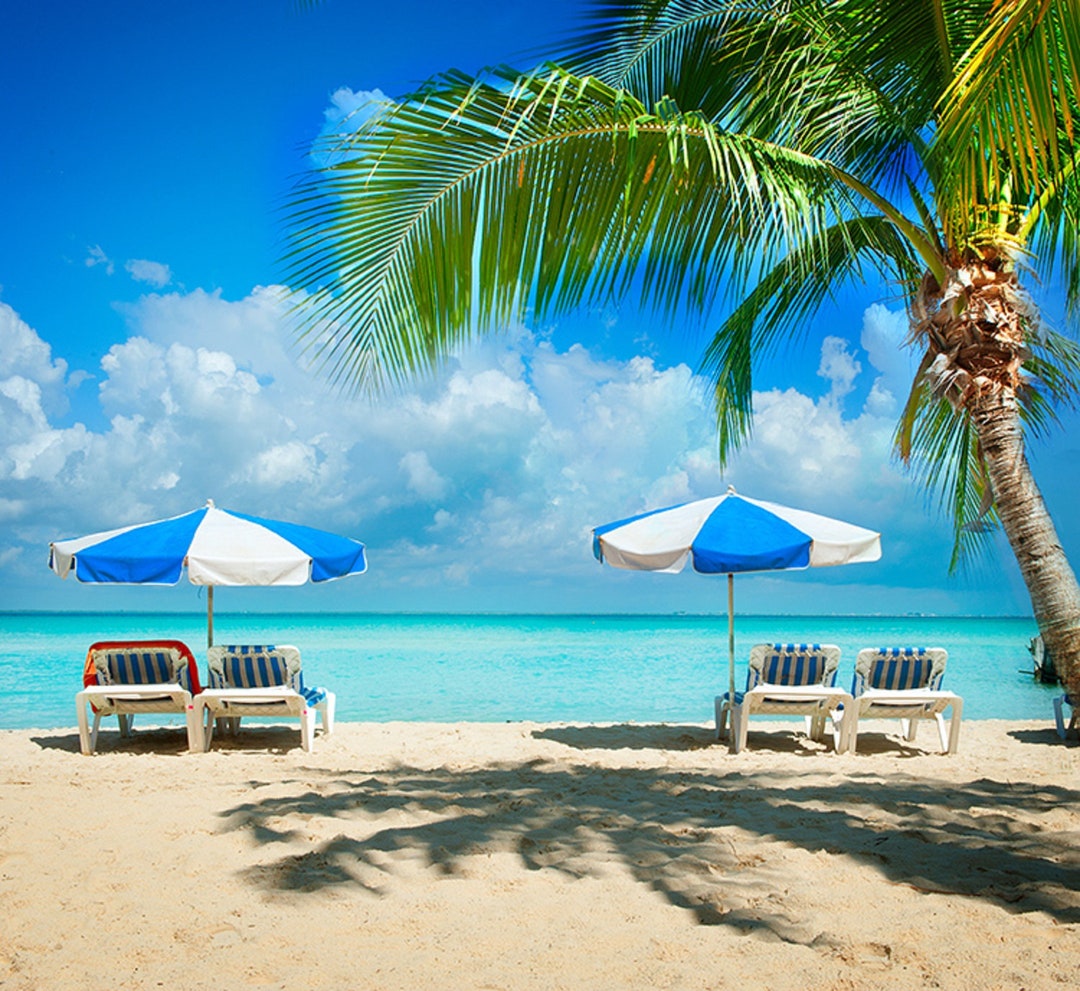 Caribbean Beach Backdrop Tropical Palm Backdrop Background Photography ...