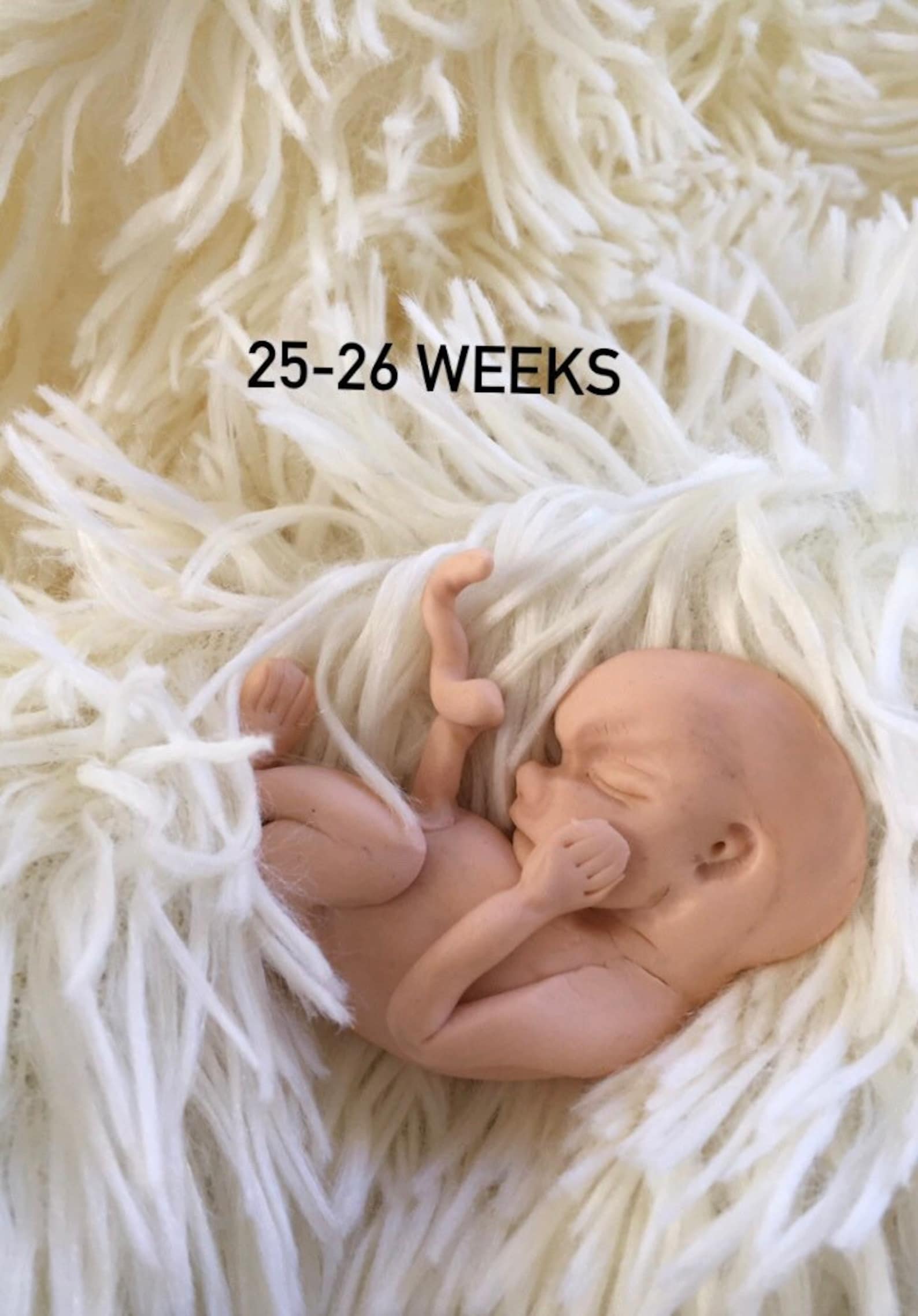 Polymer Clay Embryo Sculpture, 4-12 Weeks Gestation, Keepsake Gift - Etsy