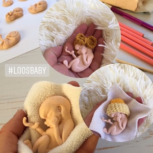 Polymer Clay Embryo Sculpture, 4-12 Weeks Gestation, Keepsake Gift - Etsy