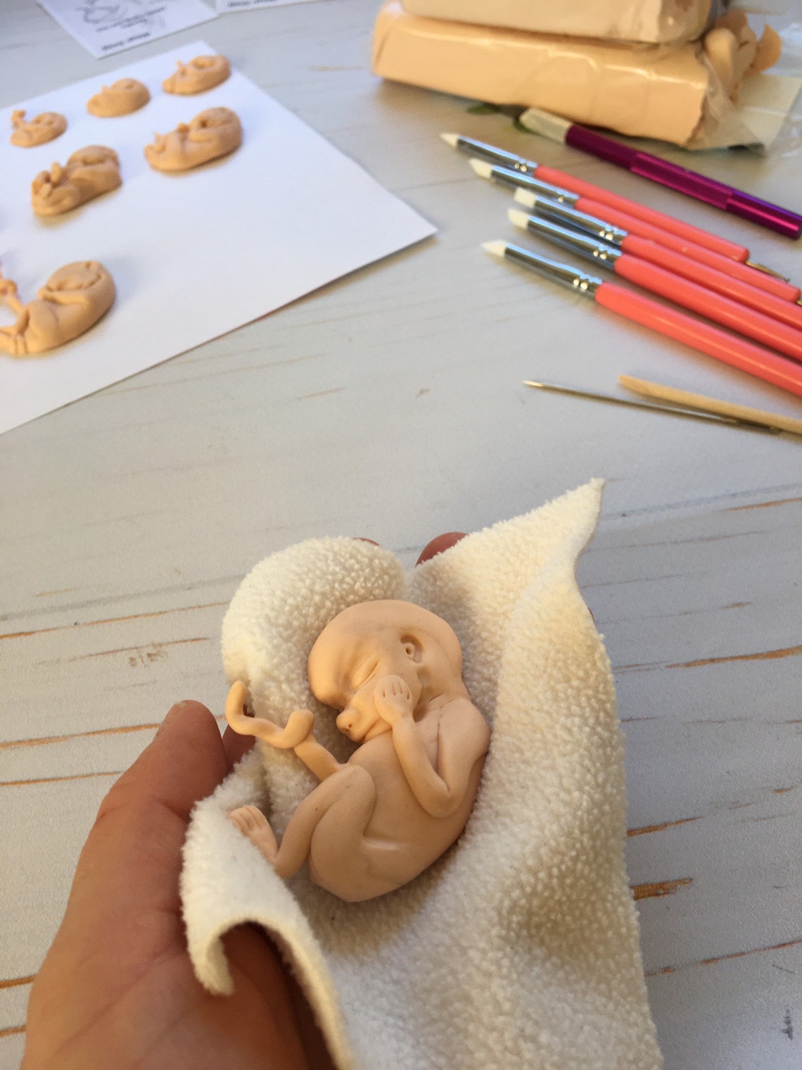 Polymer Clay Embryo Sculpture, 4-12 Weeks Gestation, Keepsake Gift - Etsy