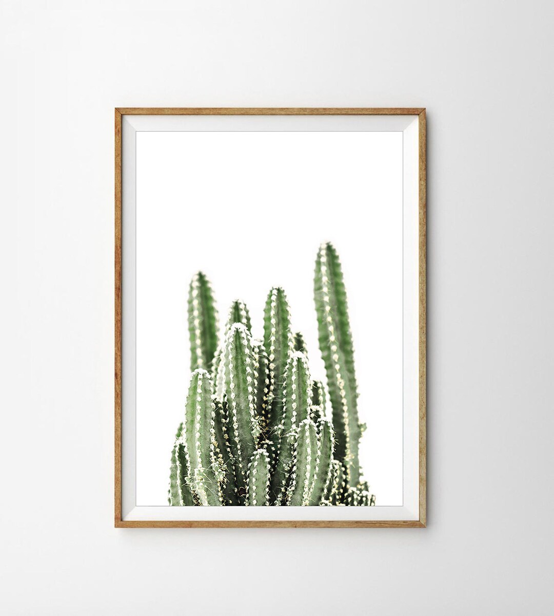 Cactus Print Cactus Wall Art Digital Download Desert Cactus Succulent ...