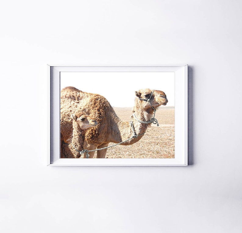 Camel Art Print Desert Animal Print Digital Download Boho - Etsy