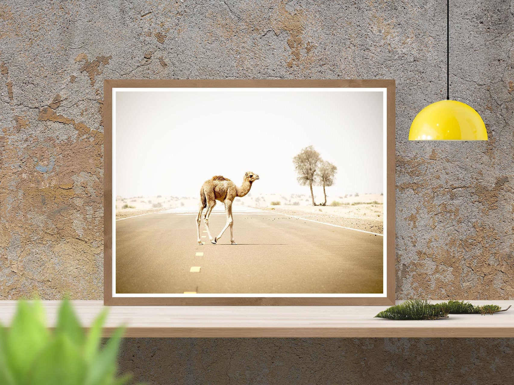 Camel Print Camel Wall Art Desert Animal Print Camel | Etsy