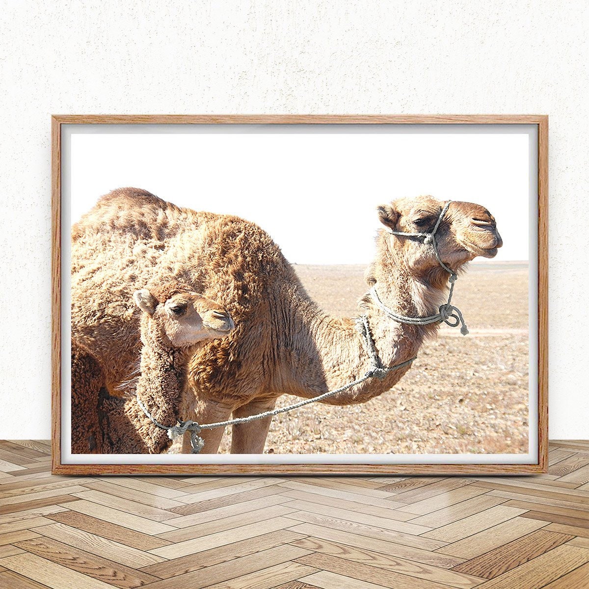 Camel Art Print Desert Animal Print Digital Download Boho - Etsy
