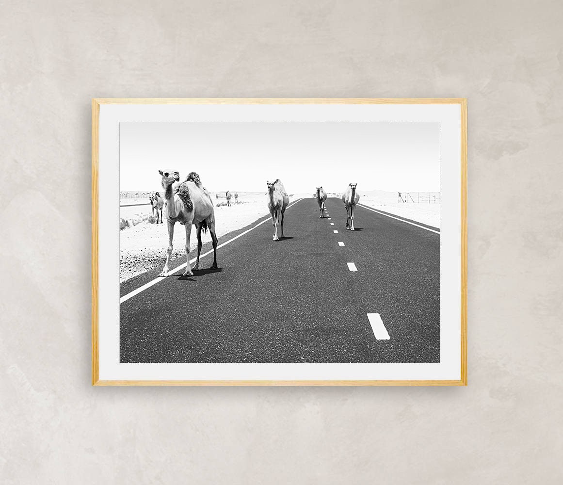 Camel Wall Art Camel Print Desert Animal Photo Camels on the - Etsy