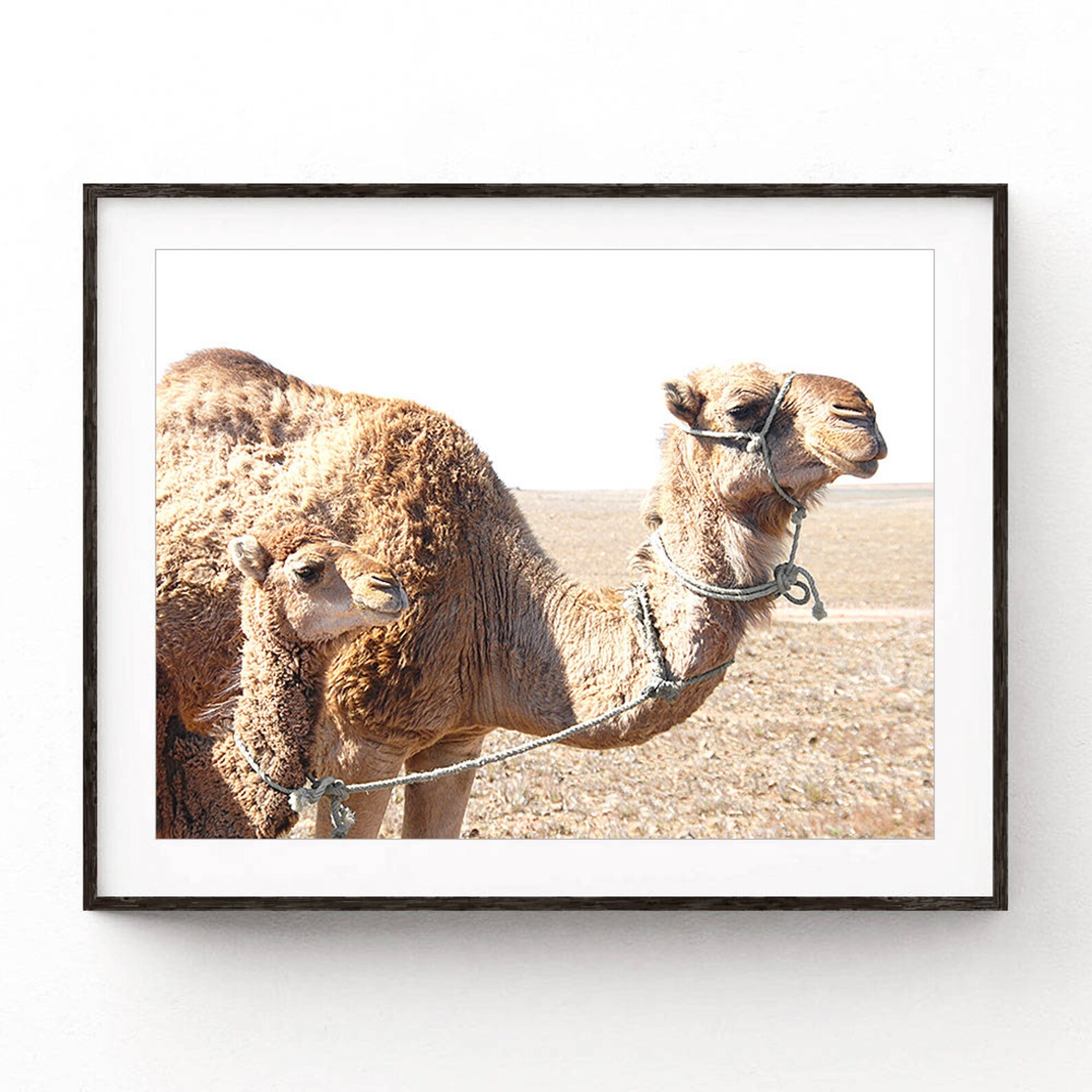 Camel Art Print Desert Animal Print Digital Download Boho - Etsy