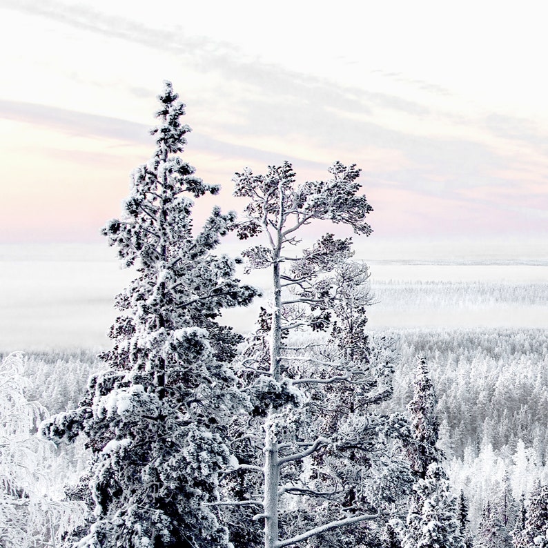 Winter Wall Art Winter Prints Set Winter Photography - Etsy