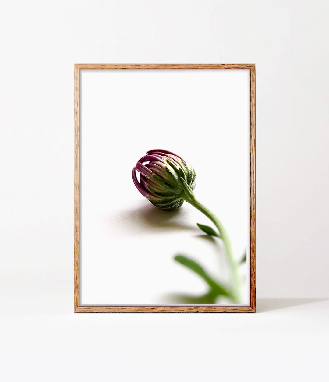 Flower Photography Print, Digital Download, Floral Wall Art, Minimalist ...