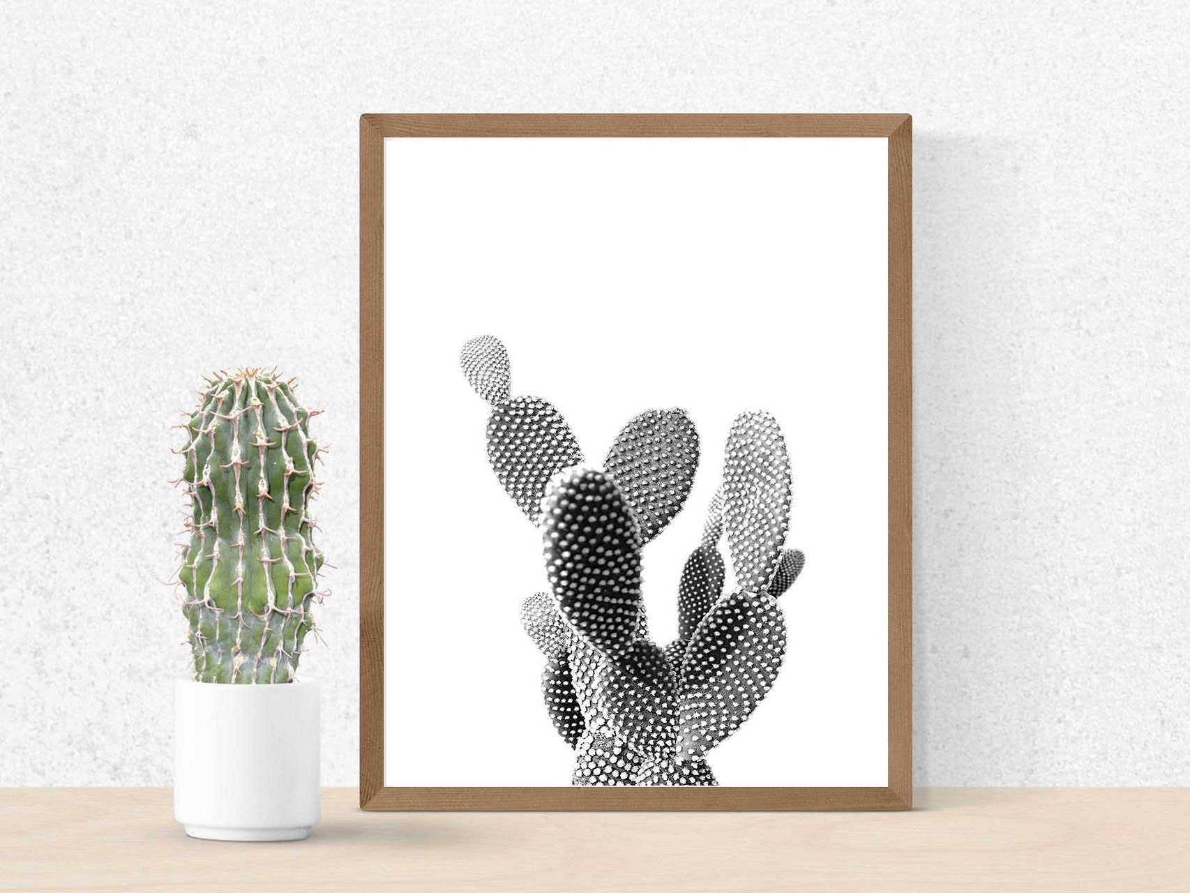 Cactus Print Succulent Print Digital Download Printable | Etsy