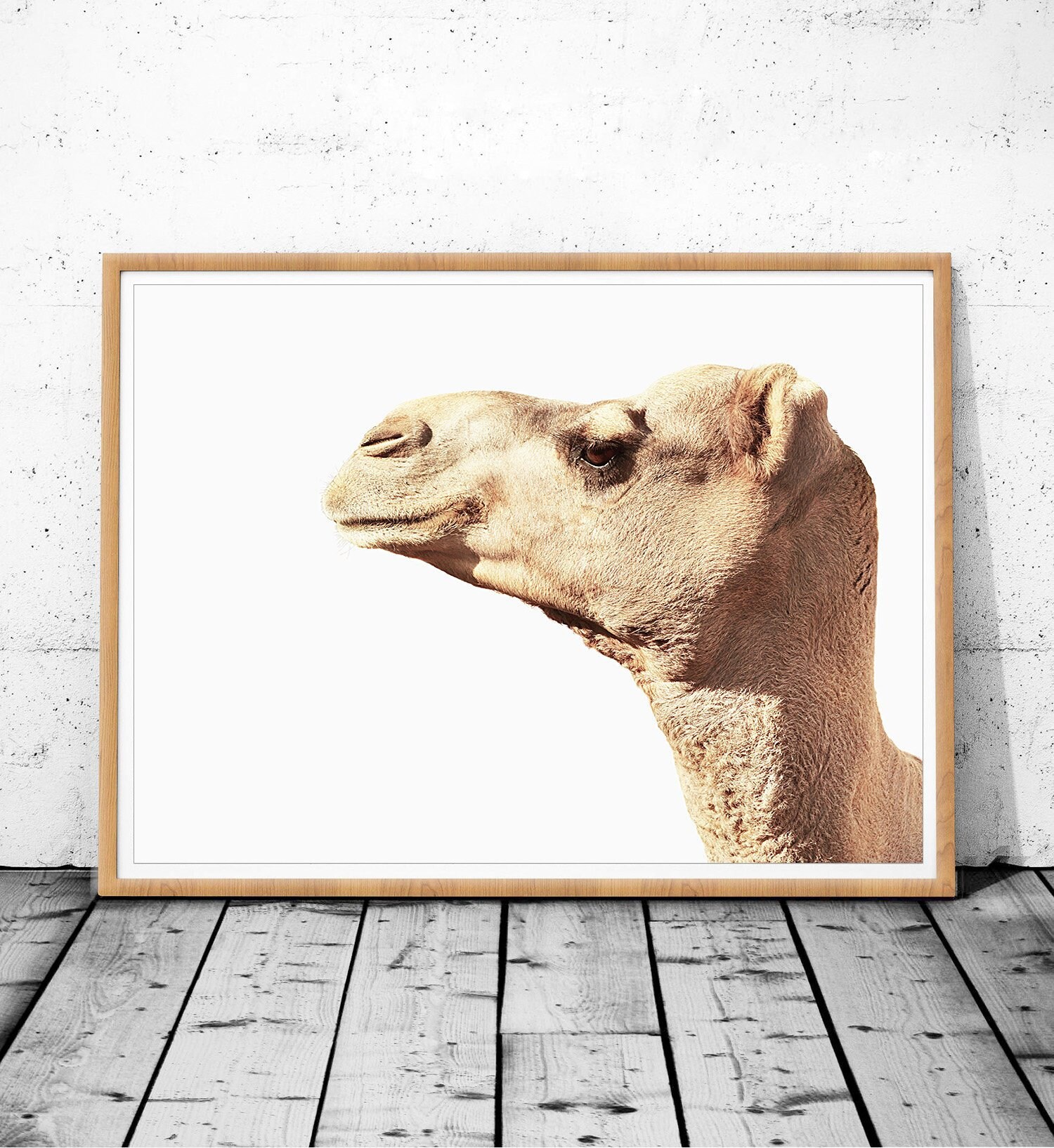 Camel Art Print Desert Animal Print Digital Download Boho - Etsy