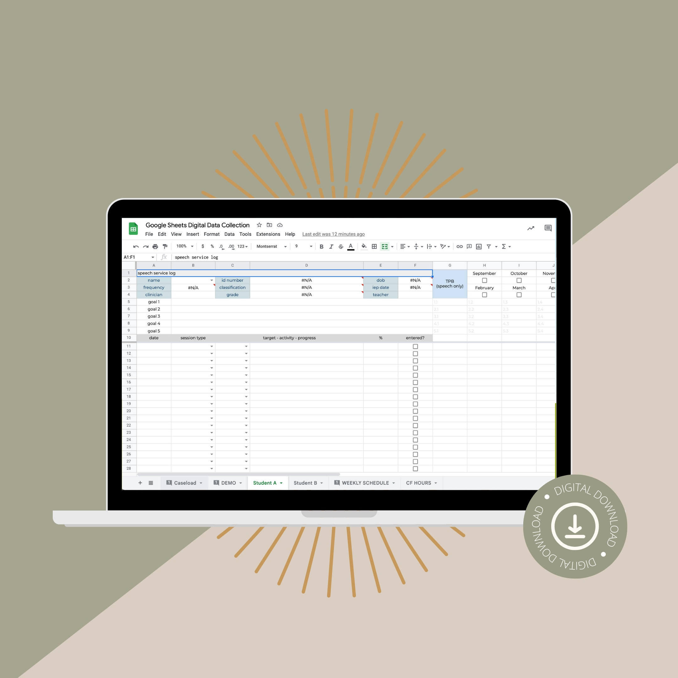 Digital Data Collection (EXCEL and GOOGLE SHEETS) - Etsy