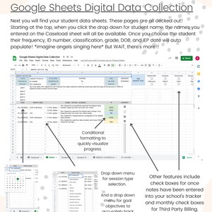 Digital Data Collection (EXCEL and GOOGLE SHEETS) - Etsy