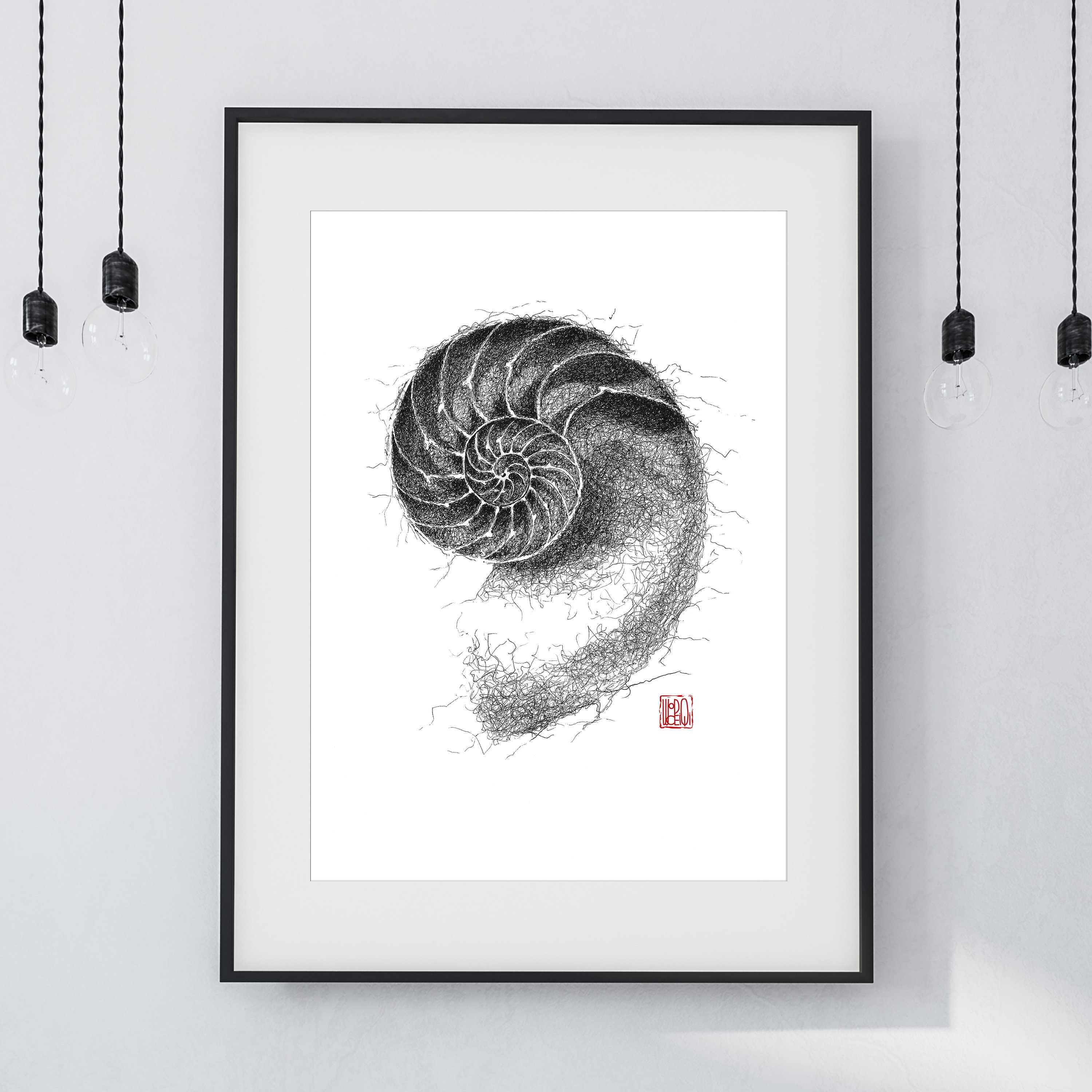 Cool Nautilus Drawing