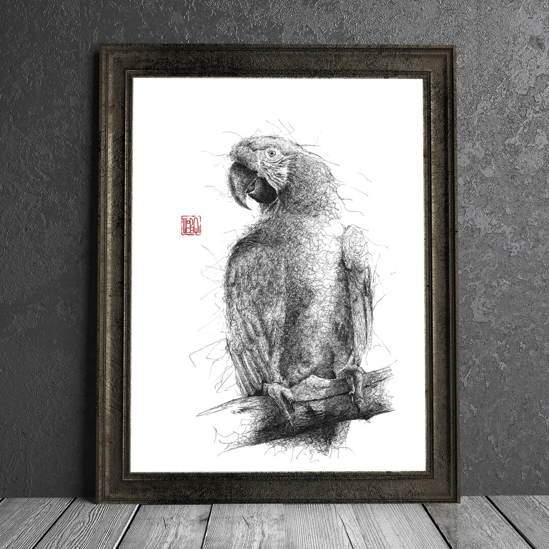 PRINTABLE Parrot Bird Pen Drawing Poster Wildlife Pet Wall Art ...