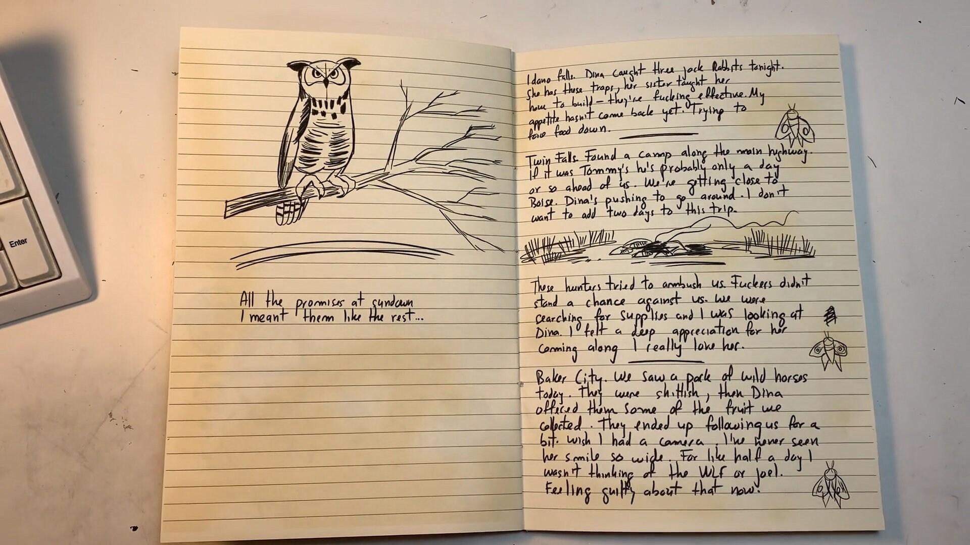 El diario de Ellie de The Last of Us Part II - Etsy España