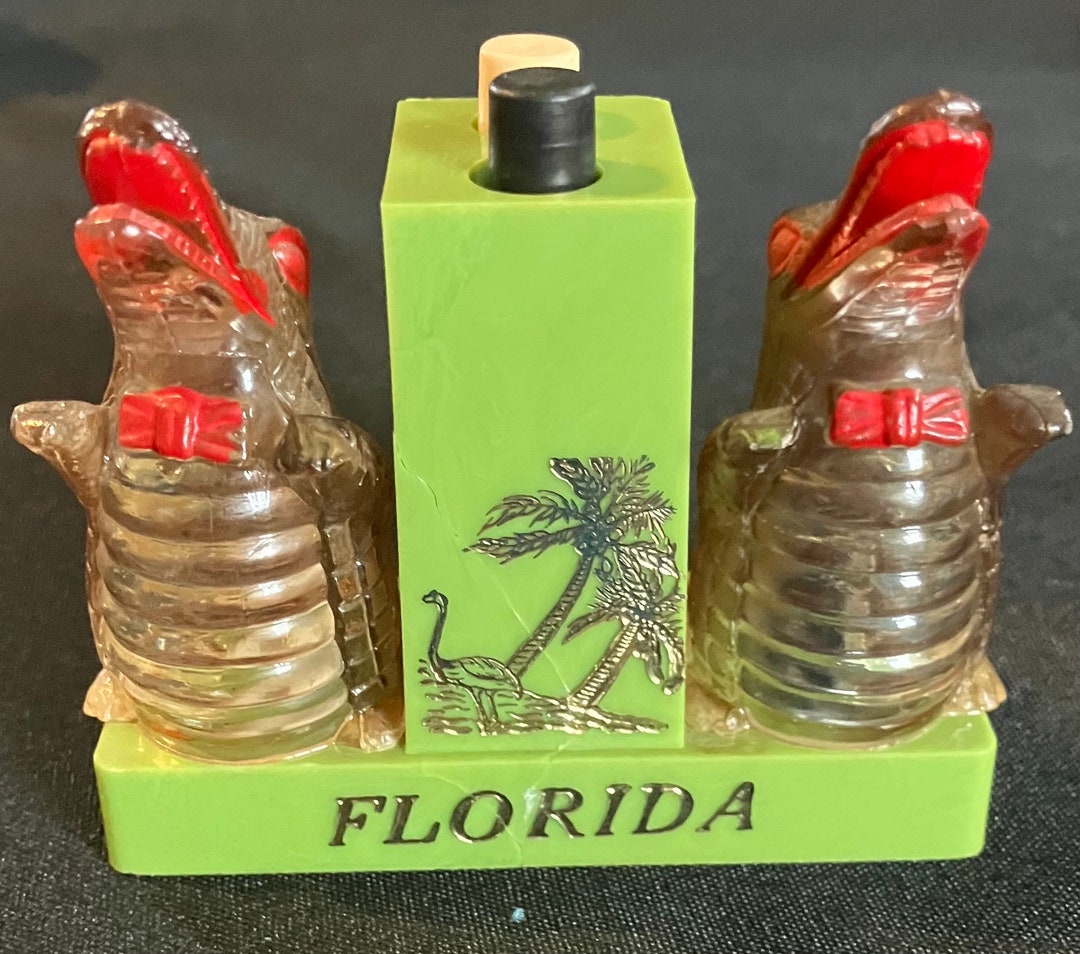Florida Vintage Souvenir Alligator Salt and Pepper Shaker - Etsy