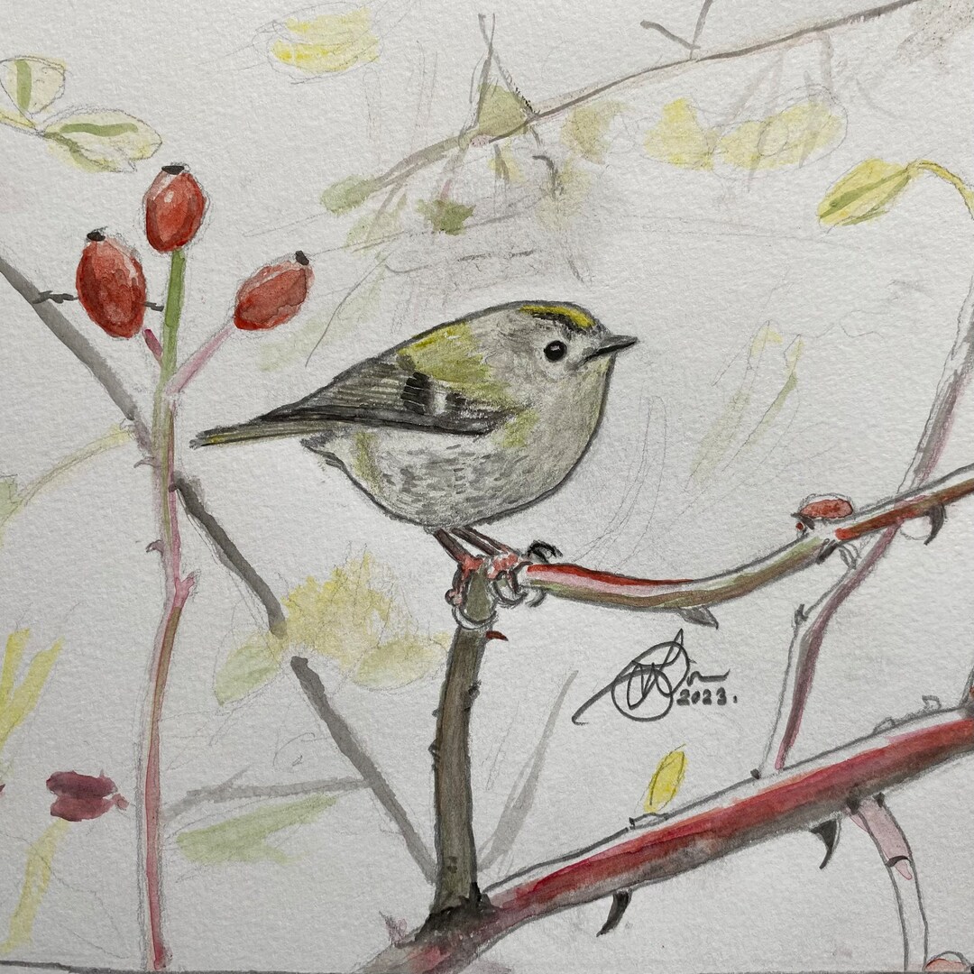 Painting of a Goldcrest print - Etsy