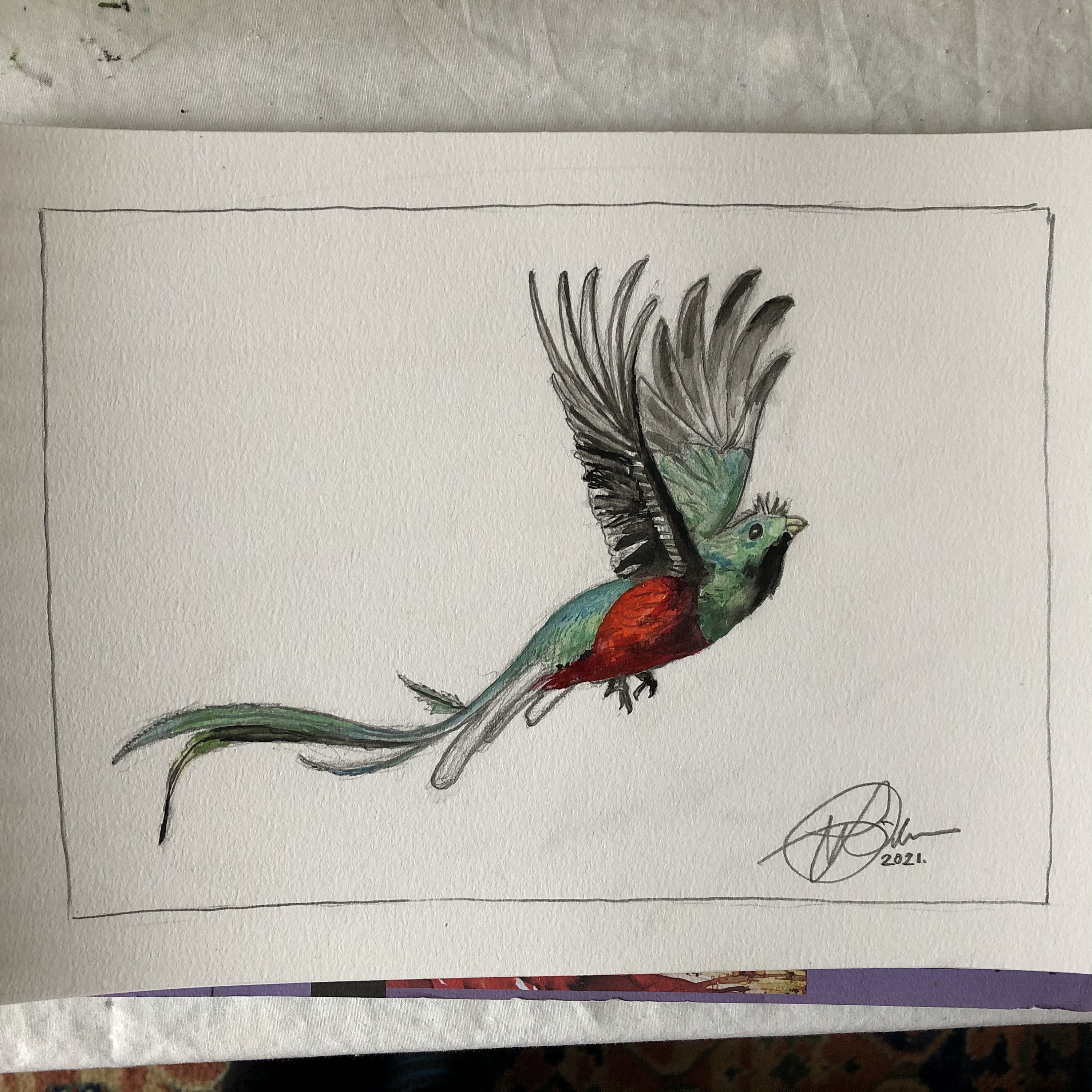 Painting of a Resplendent Quetzal print - Etsy