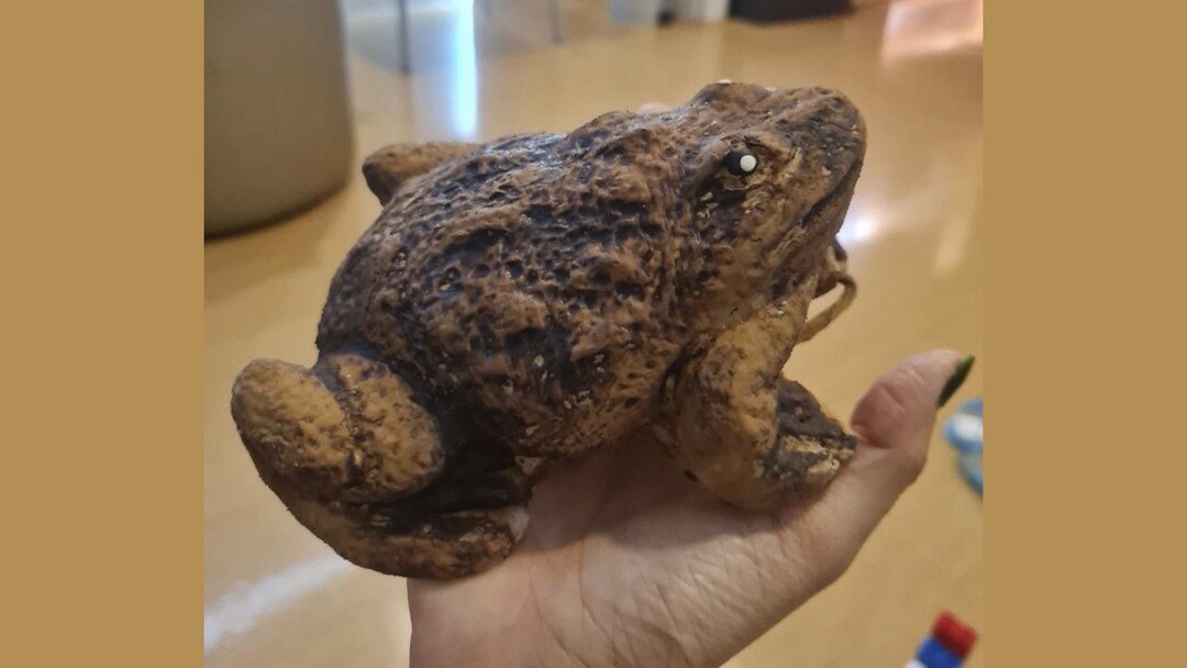 Toad Bag , Rubber , Gift Birthday Anniversary , Christmas , Summer Bag ...