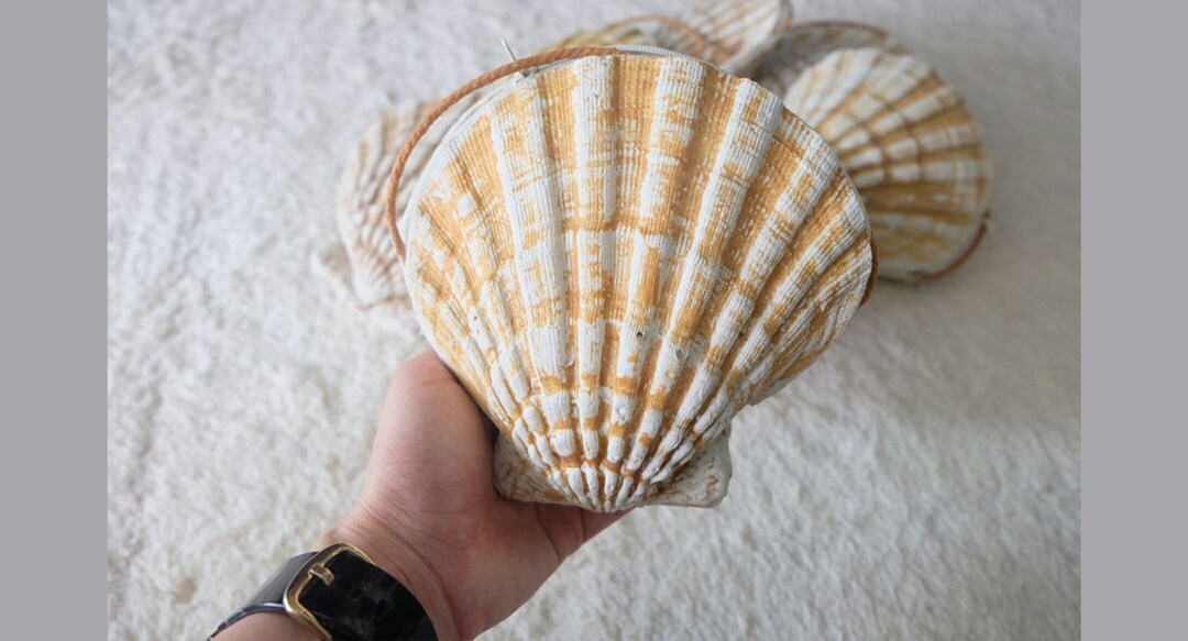 Shell Bags , Rubber Gift Birthday Anniversary , Christmas , Summer Bag ...