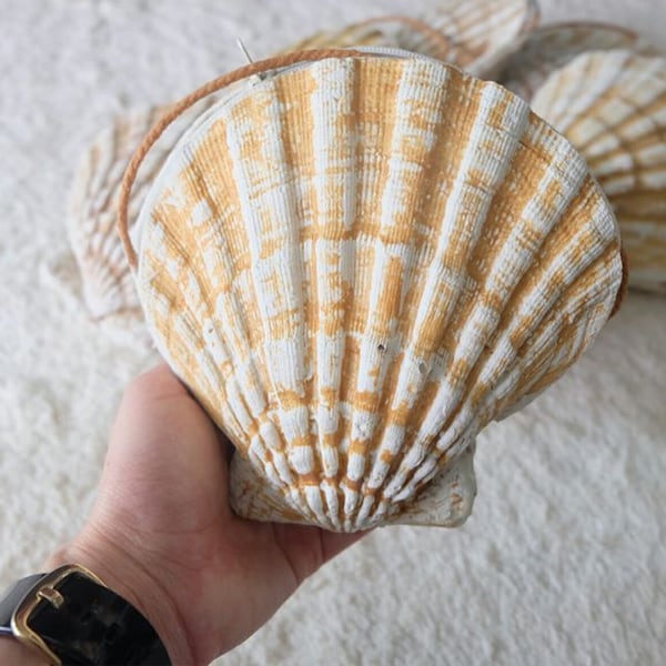 Shell Bag - Etsy