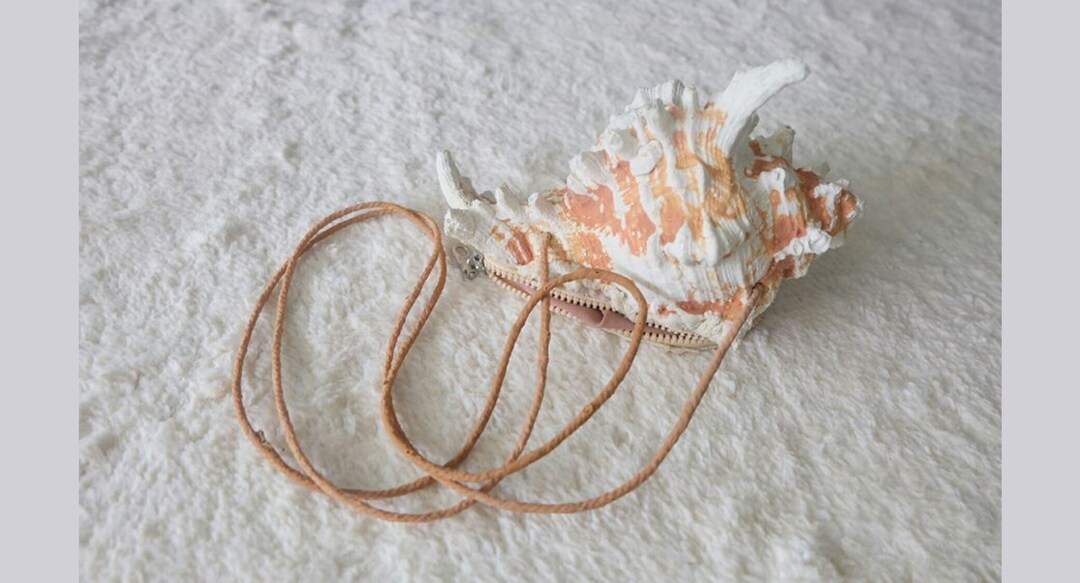 Shell With Thorns Bags , Rubber , Gift Birthday , Gift Anniversary ...