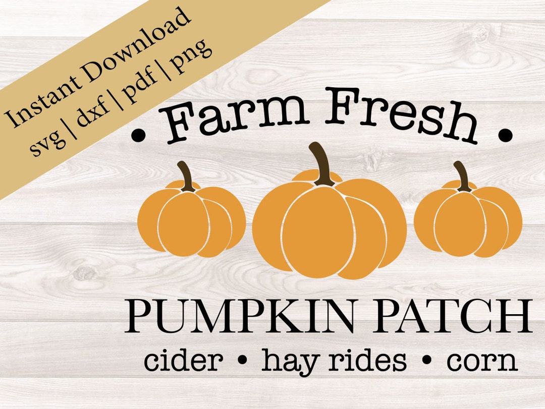Farm Fresh Pumpkin Patch SVG, Pumpkin SVG, Fall Pumpkin SVG, Silhouette ...