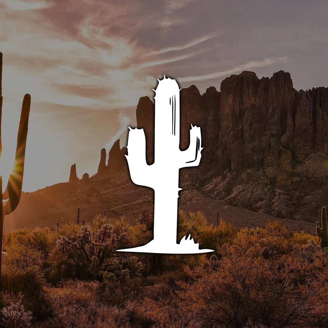 Simple Cactus Decal Sticker for Laptop - Vibrant Western Design - Etsy