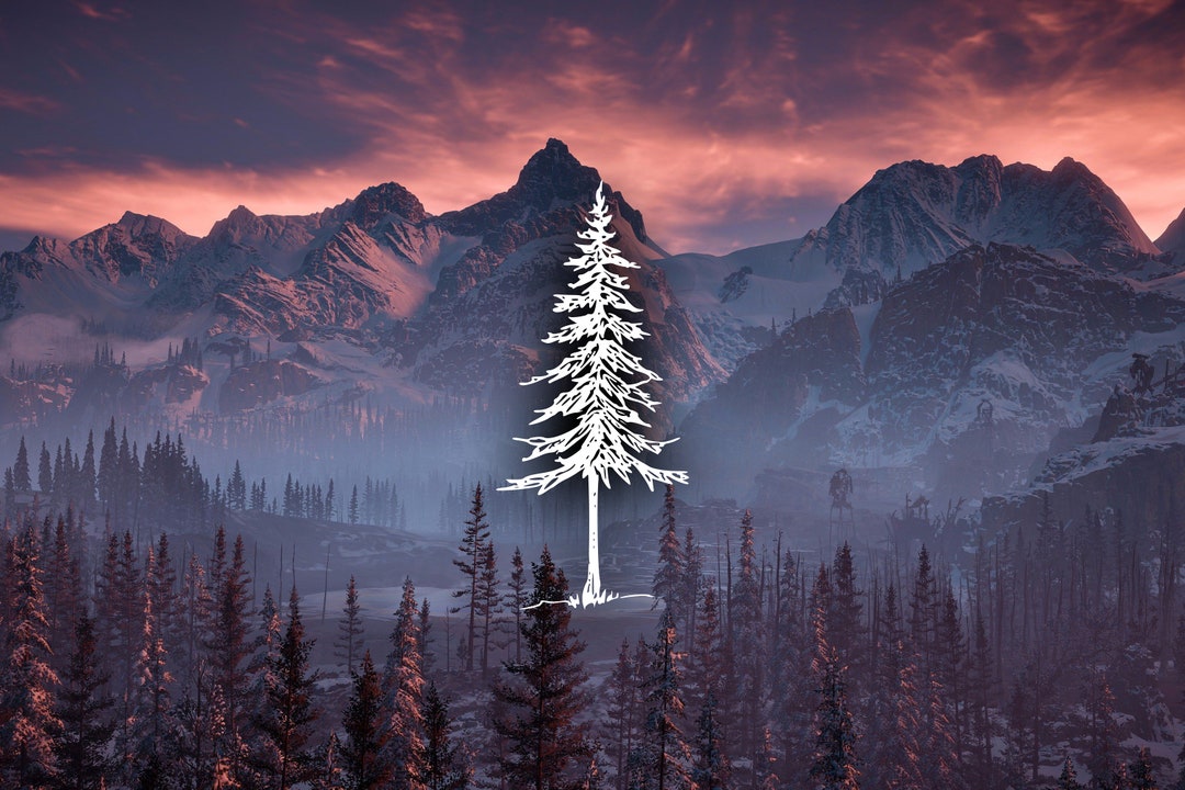 Evergreen Elegance: Fir Tree Vinyl Decal for Cars and More - Etsy