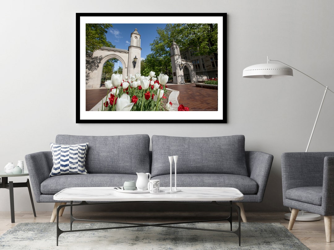 Indiana University Sample Gates Photo: Red Tulips, Ready to Hang - Etsy