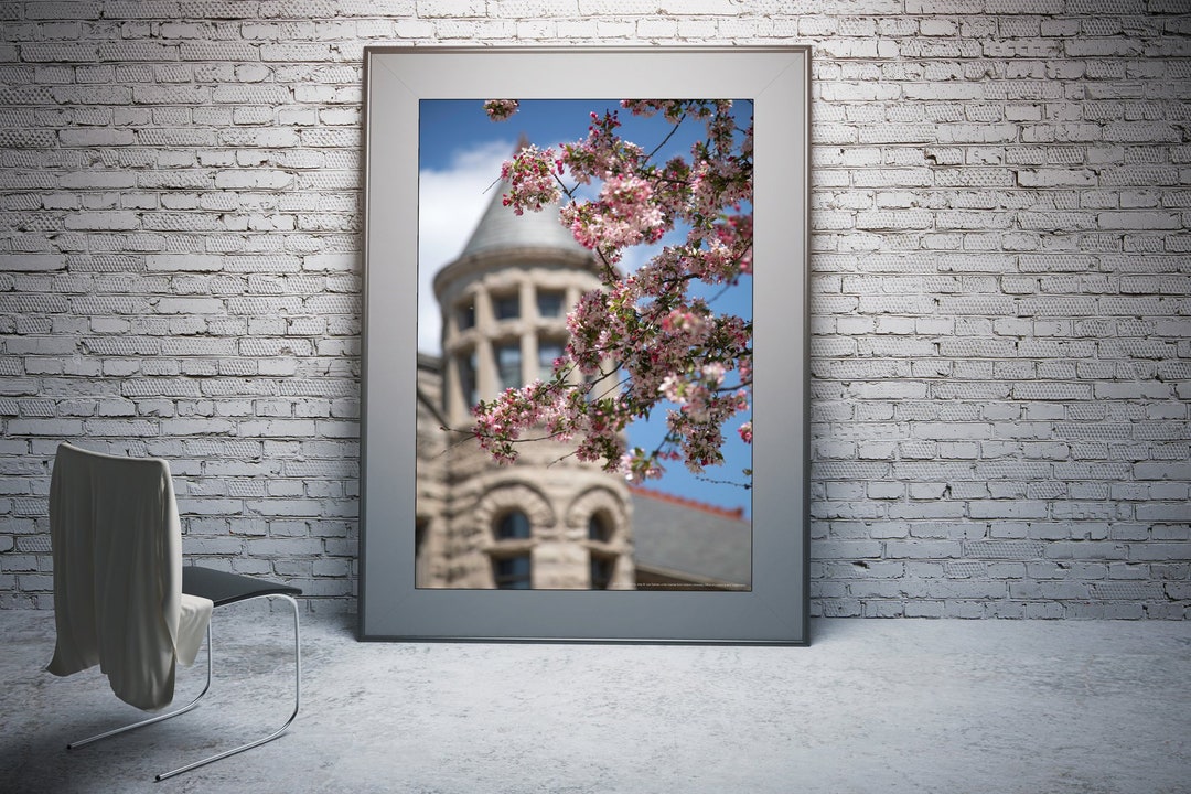 Framed Indiana University Maxwell Hall Spring Photo - Etsy