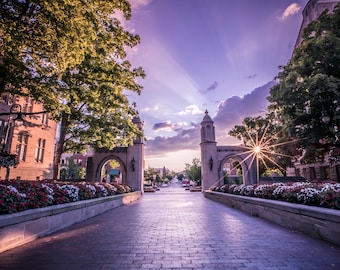 Indiana Sample Gates | Etsy