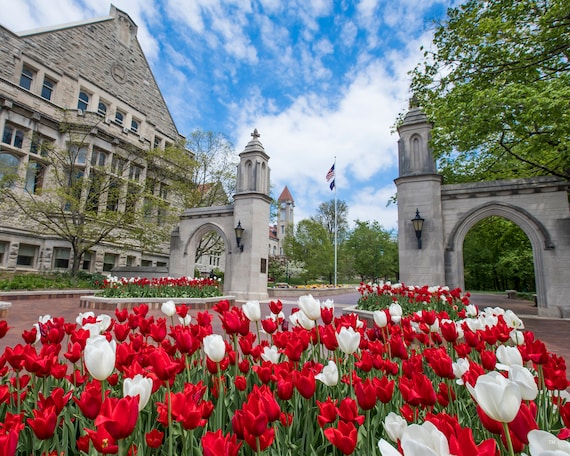 Photograph Indiana University Sample Gates Red and White - Etsy
